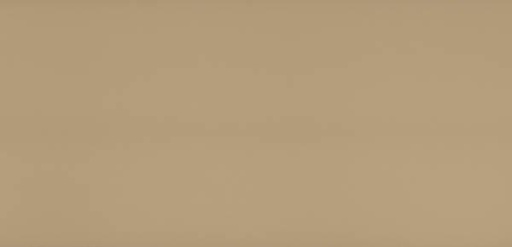 Magazin | Trady 2000